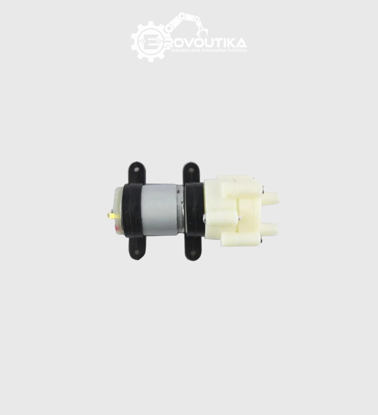 12 Volt R385 Water Pump | Shop |Erovoutika