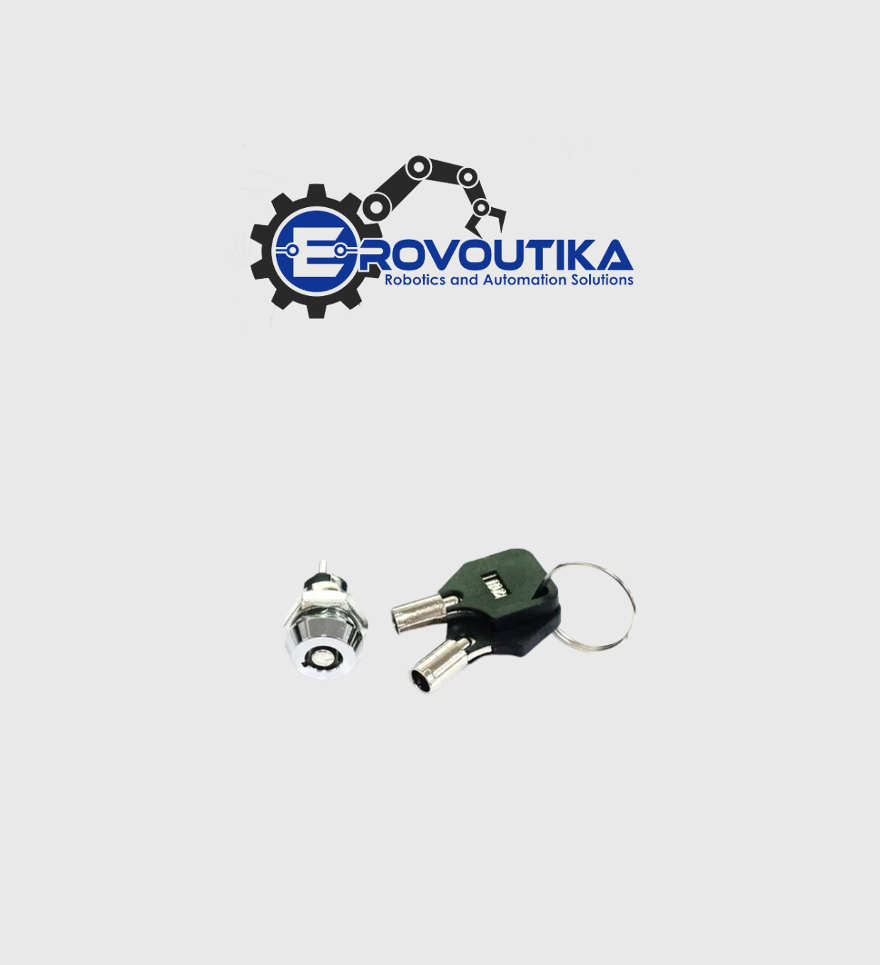 12mm Metal Key Switch With Keys | Shop |Erovoutika