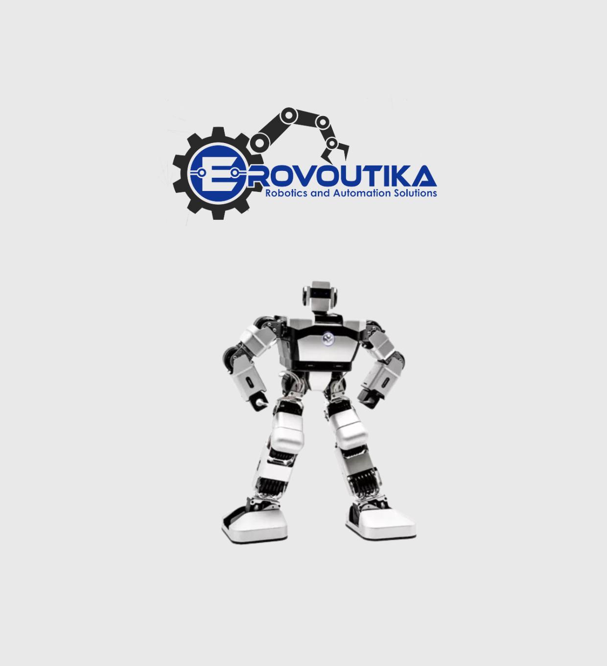 Humanoid Robot: Yanshee Robot | Shop |Erovoutika